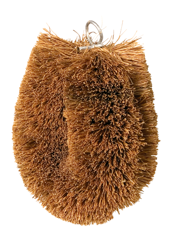 Coconut Scrubber – HOME